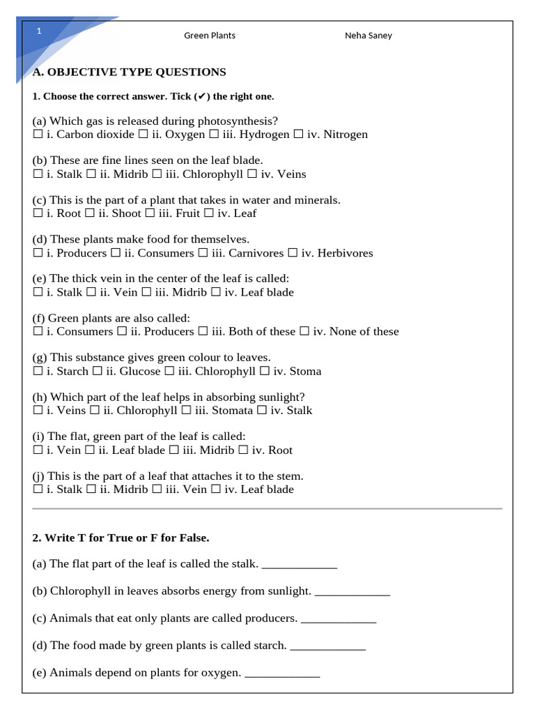 Green Plants Paper 1 | PDF | Leaf | Photosynthesis