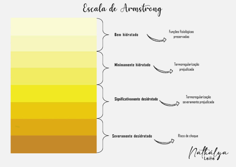 Escala de Armstrong | PDF