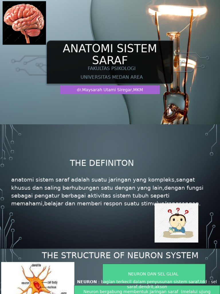 Anatomi Sistem Saraf (1) | PDF