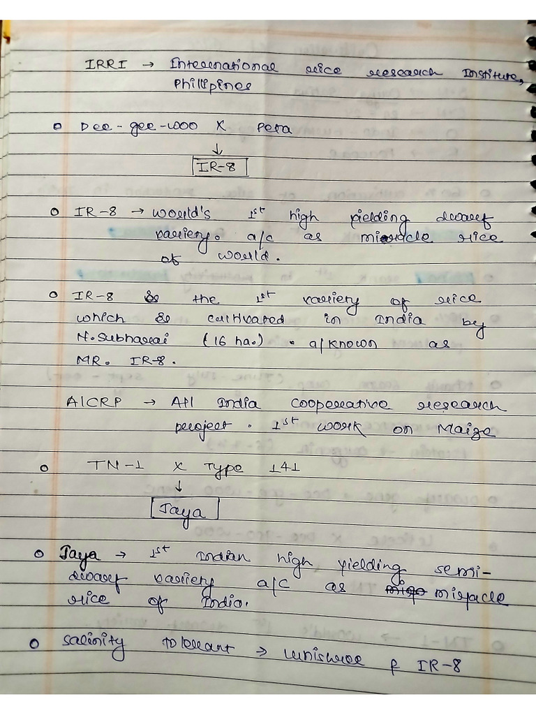 Rice Important Notes - Quick Tips To Learn | PDF