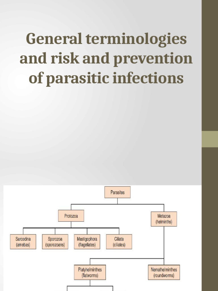 Parasitic Infections: Terminology & Prevention | PDF | Parasitism ...