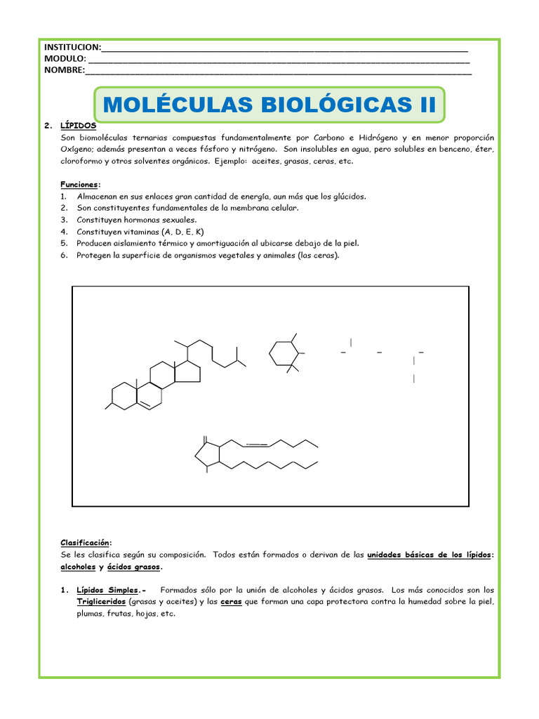 Moléculas Biológicas 2 | PDF | Rna | Adn