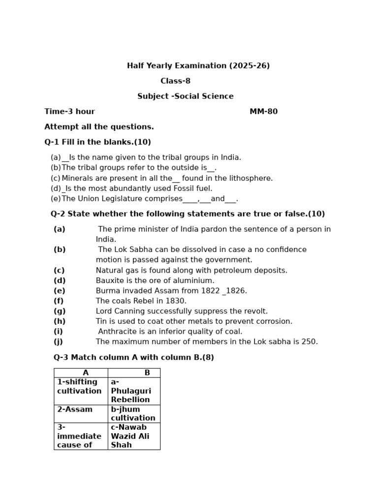 Class - 8 Social Science | PDF