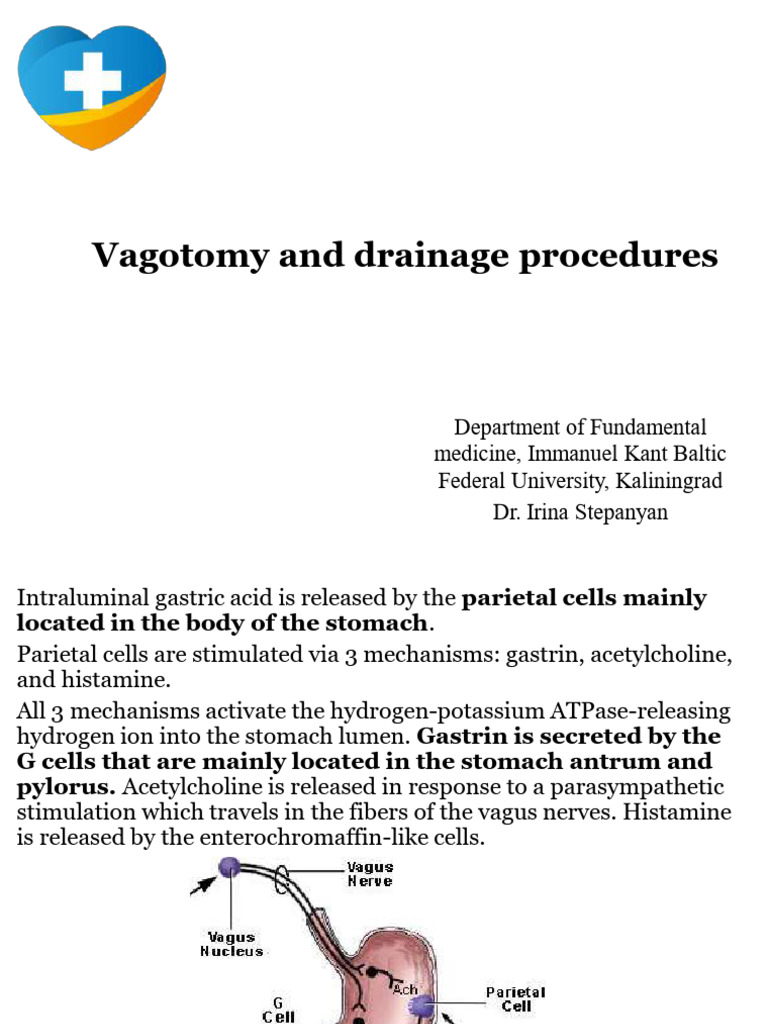 Vagotomy and Drainage Procedures Explained | PDF | Stomach | Digestive ...