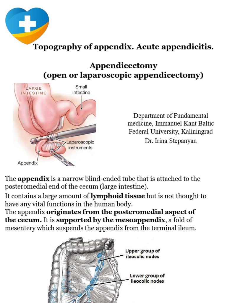 Appendicitis and Appendicectomy | PDF | Peritoneum | Abdomen