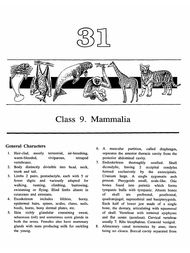 Mammals | PDF