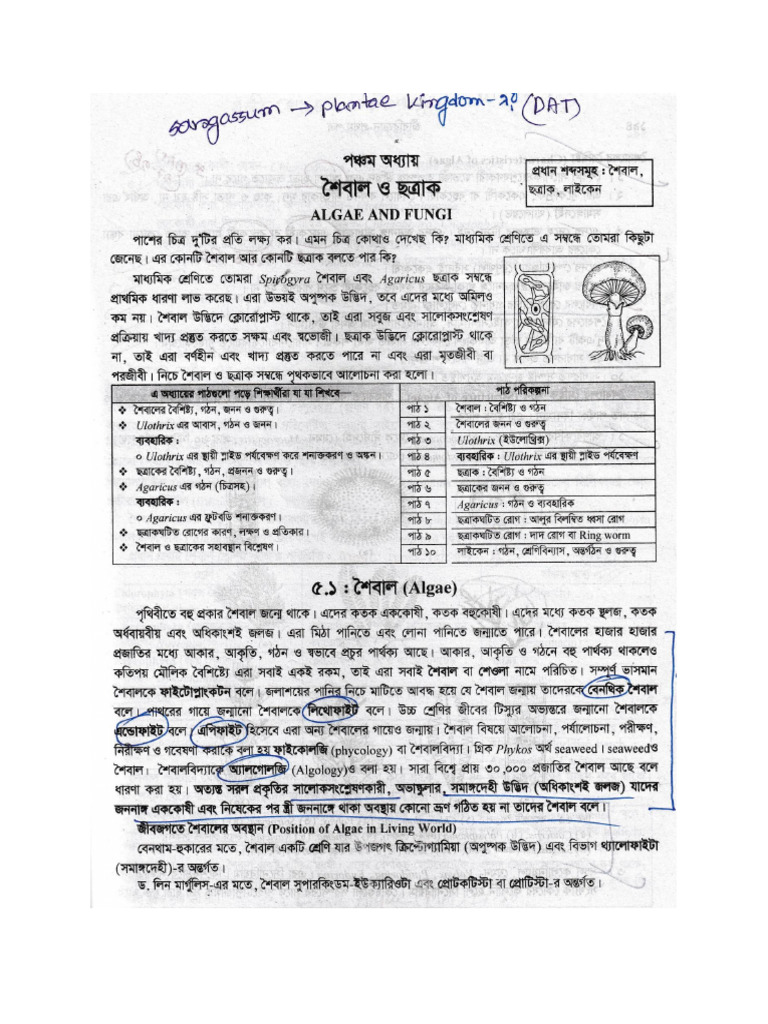 Shoibal o Chottrak PDF | PDF