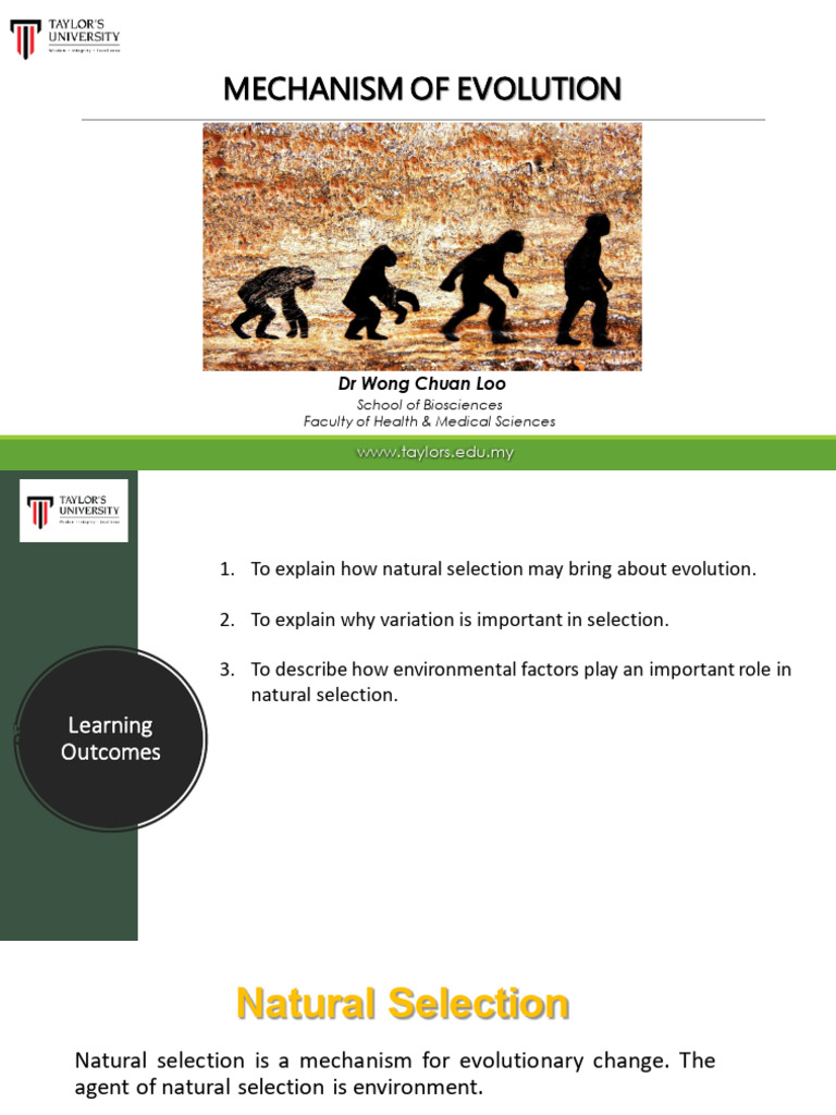 8 - Mechanisms of Evolution - PDF | PDF | Natural Selection | Genetic Diversity