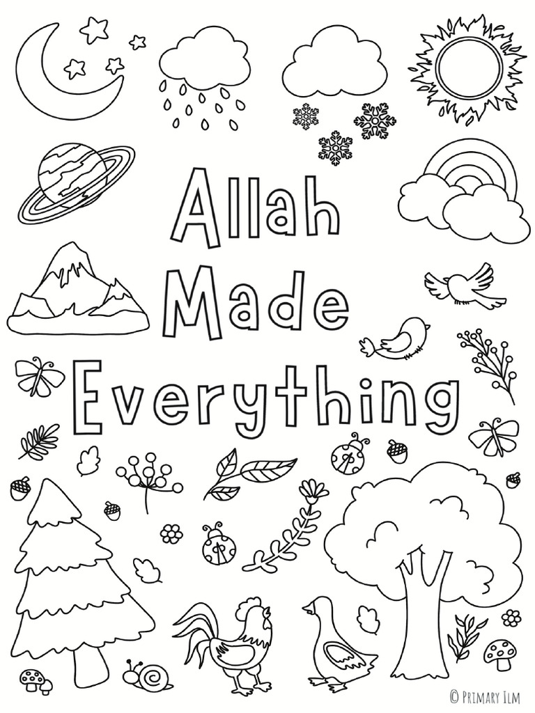 Allah Made Everything Activity Sheet | PDF