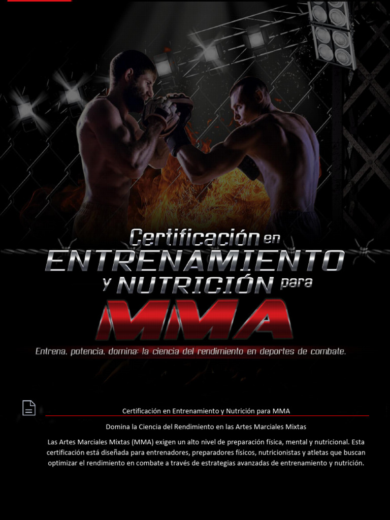 Dossier Mma | PDF | Artes marciales mixtas | Kárate