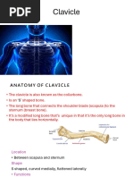Grashey Method for Shoulder Imaging | PDF | Shoulder | Musculoskeletal ...
