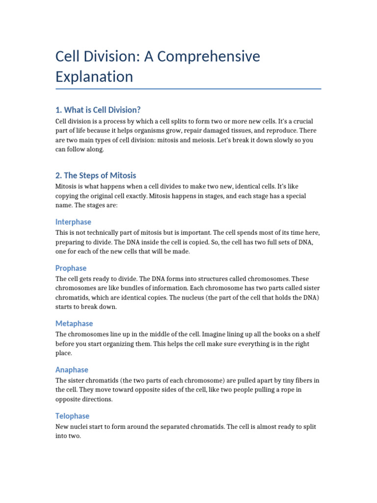 Cell Division Explanation | PDF | Mitosis | Meiosis