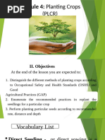 Crop Storage Structures and Methods | PDF | Vegetables | Shelf Life