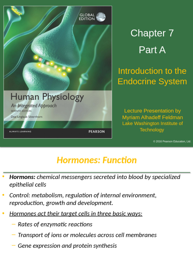 Chapter 7 Introduction To Endocrine System | PDF | Endoplasmic ...