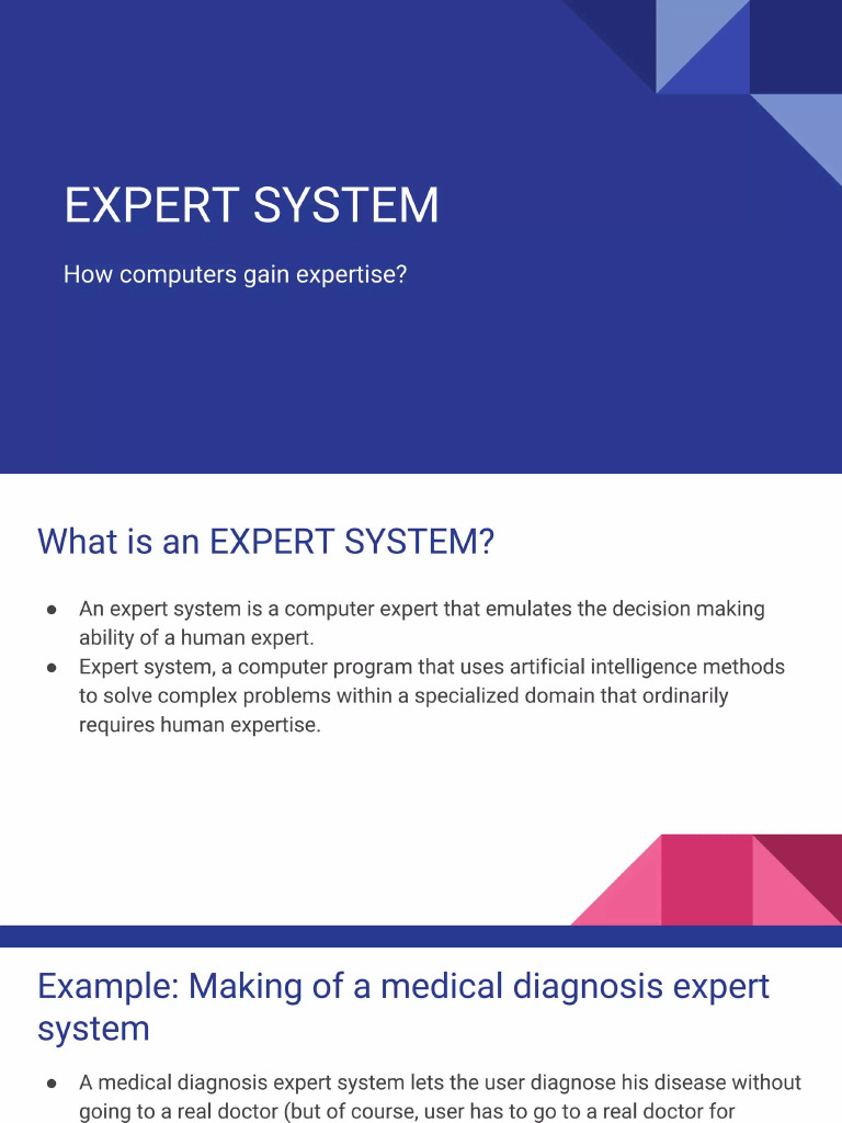 Expert System | PDF
