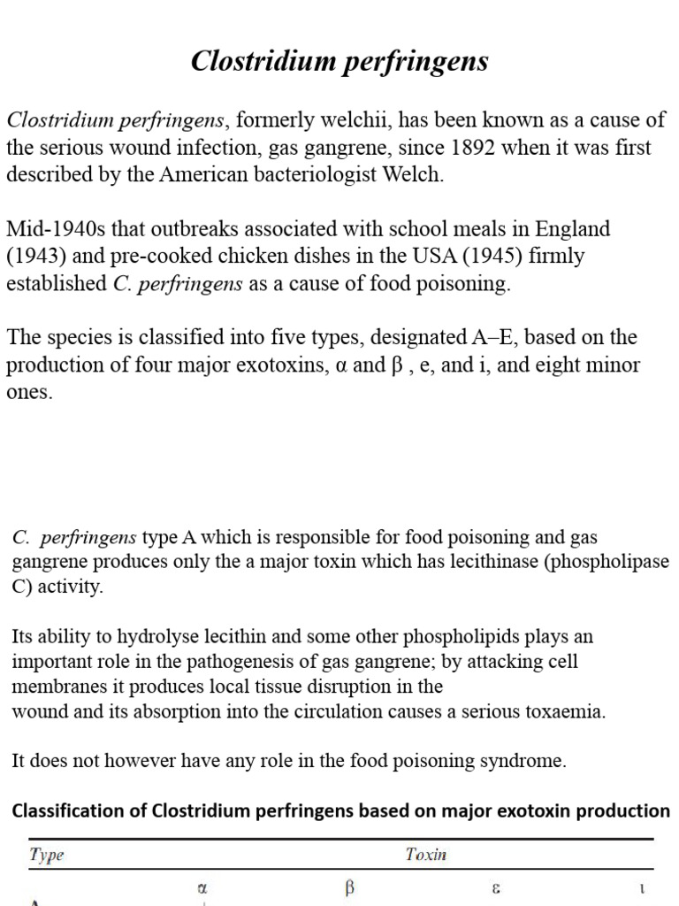 Clostridium perfringens Overview and Risks | PDF | Medical Specialties ...