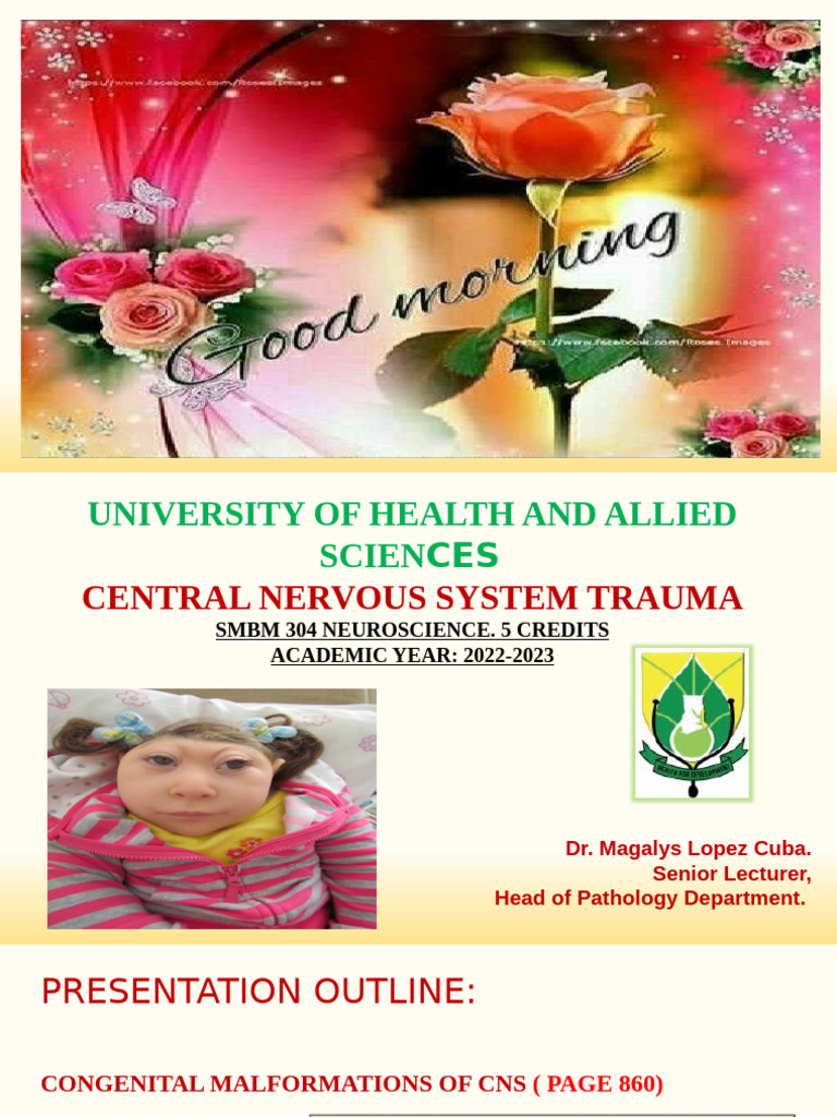 4, Congenital Malformations of Cns | PDF | Cerebral Cortex | Neuroscience