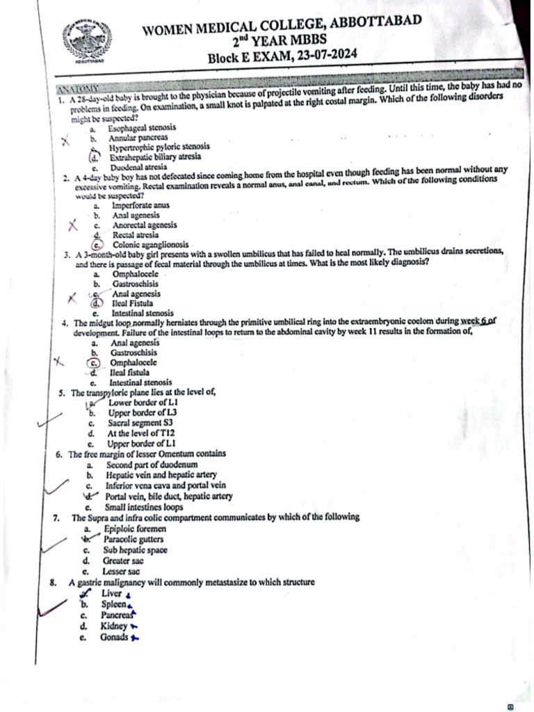 WMC Block e 2024 | PDF