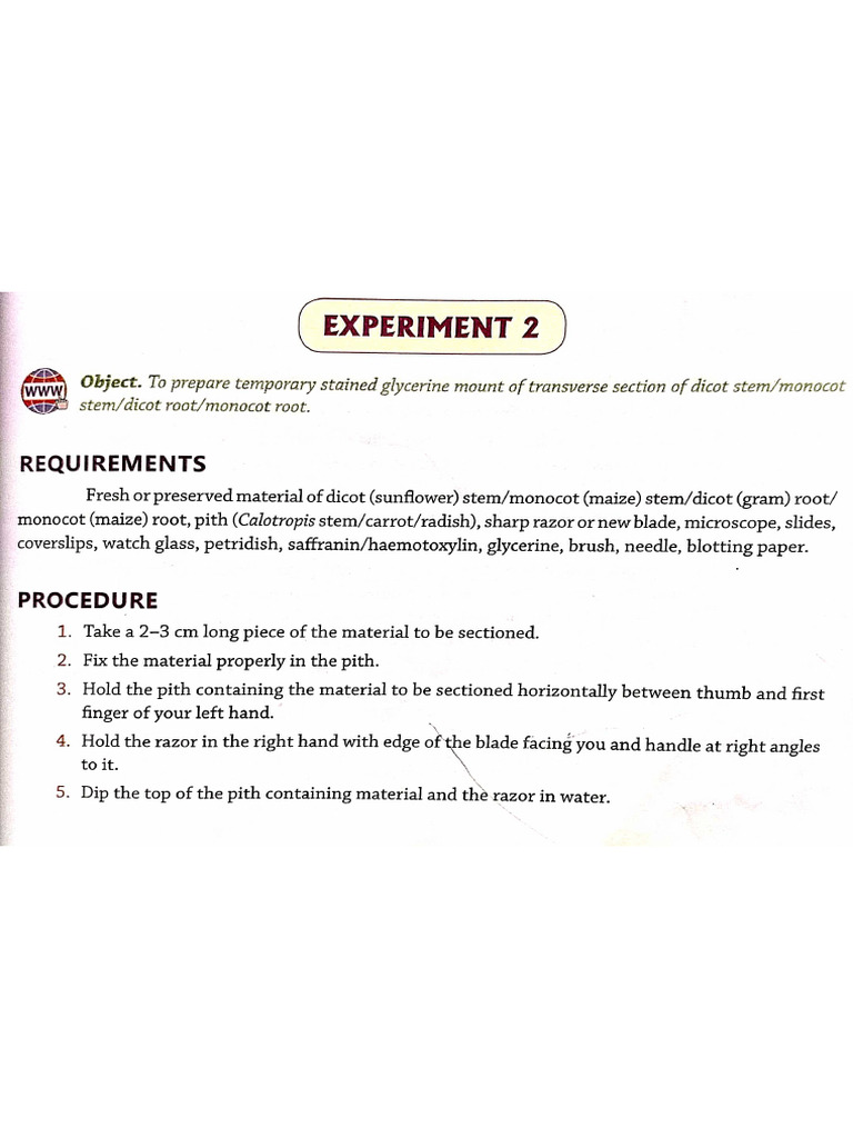 11 Bio Experiment 2 | PDF