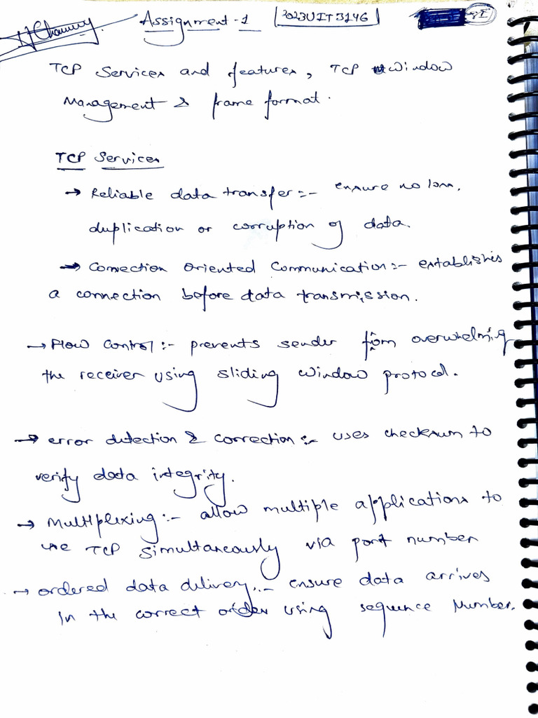 CN Assignment-1 (3146) | PDF