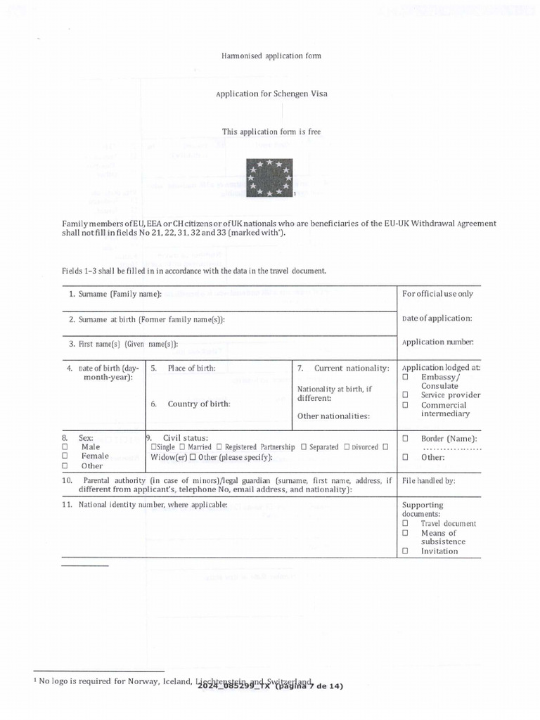 Application Form en | PDF