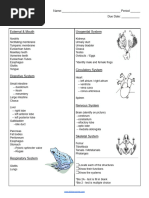 Frog Anatomy: Planes & External Parts | PDF | Anatomical Terms Of Location