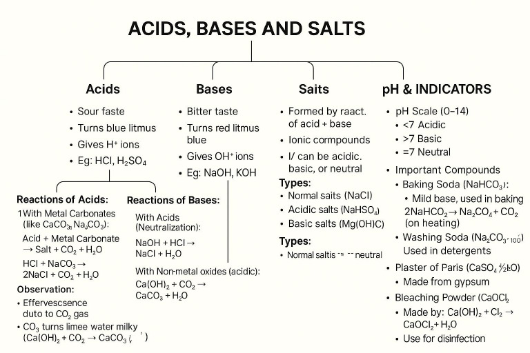 Acids Bases Salts Mind Map | PDF