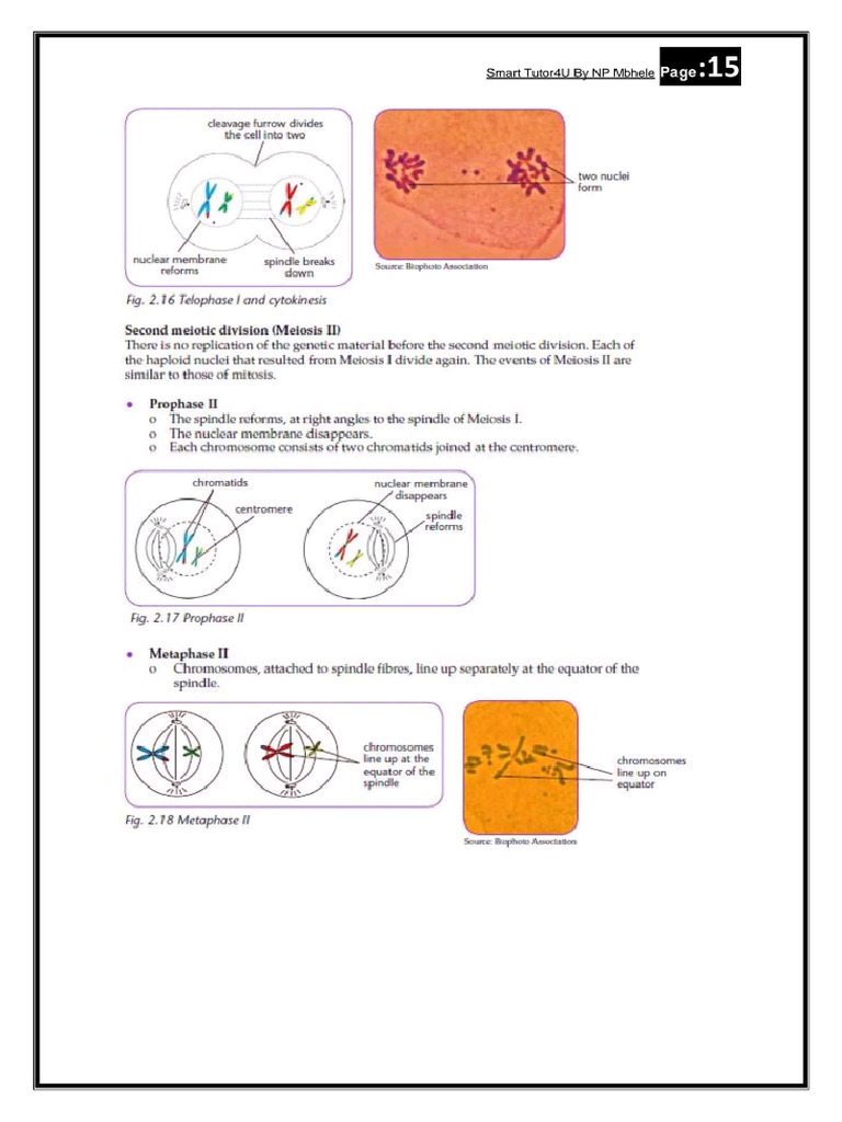 Life Sciences 3 | PDF