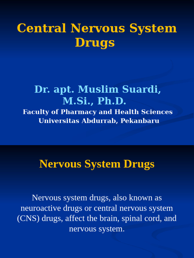 Overview of Central Nervous System Drugs | PDF | Anesthesia | Analgesic