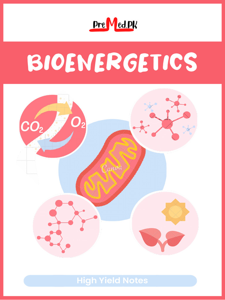 Bioenergetics and Photosynthesis Overview | PDF | Cellular Respiration ...