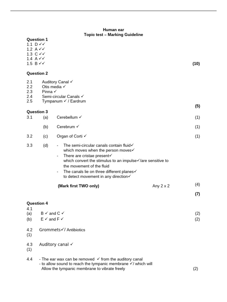 Human Ear Test Marking Guidelines | PDF | Hearing | Ear