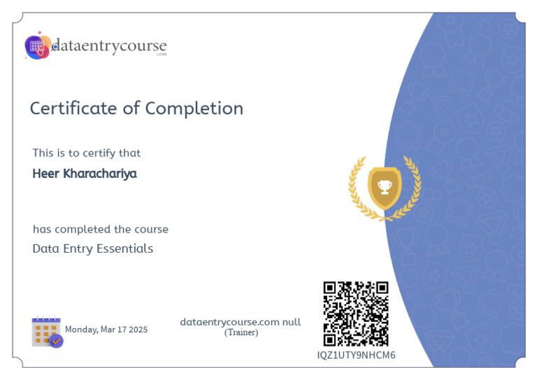 Data Entry Essentials | PDF