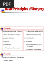 Halsted Principles | PDF