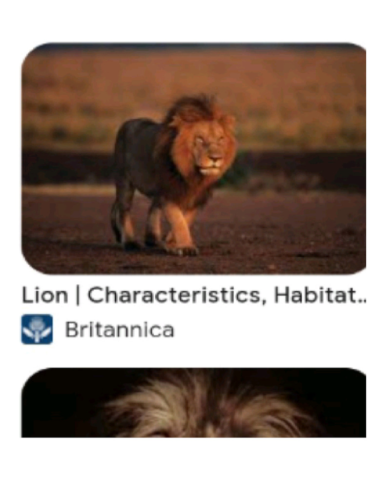 PDFGallery 20250705 233109 | PDF