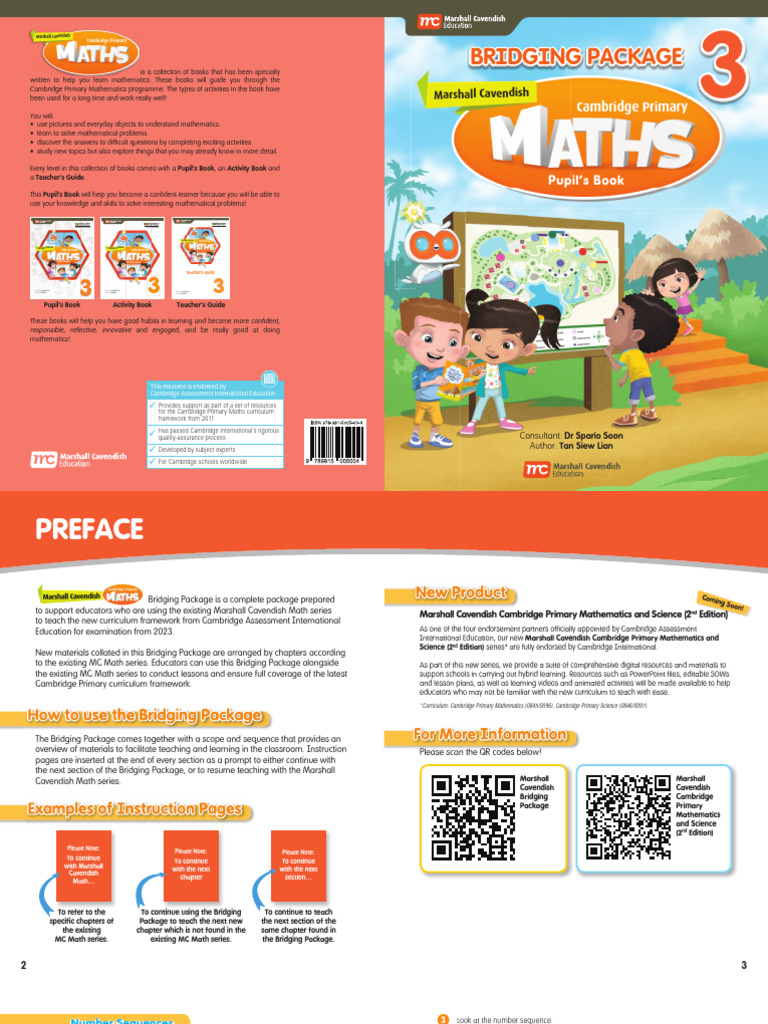 MC Math Bridging Package Grade 3 | PDF | Education Theory | Learning