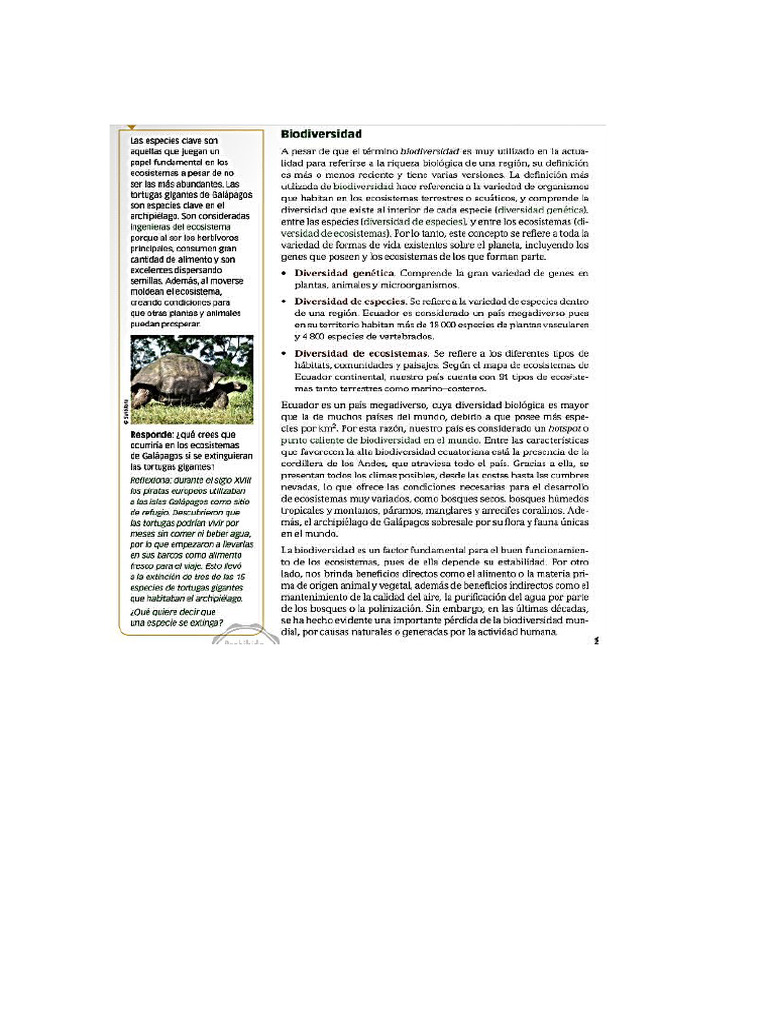 Libro de La Miss | PDF