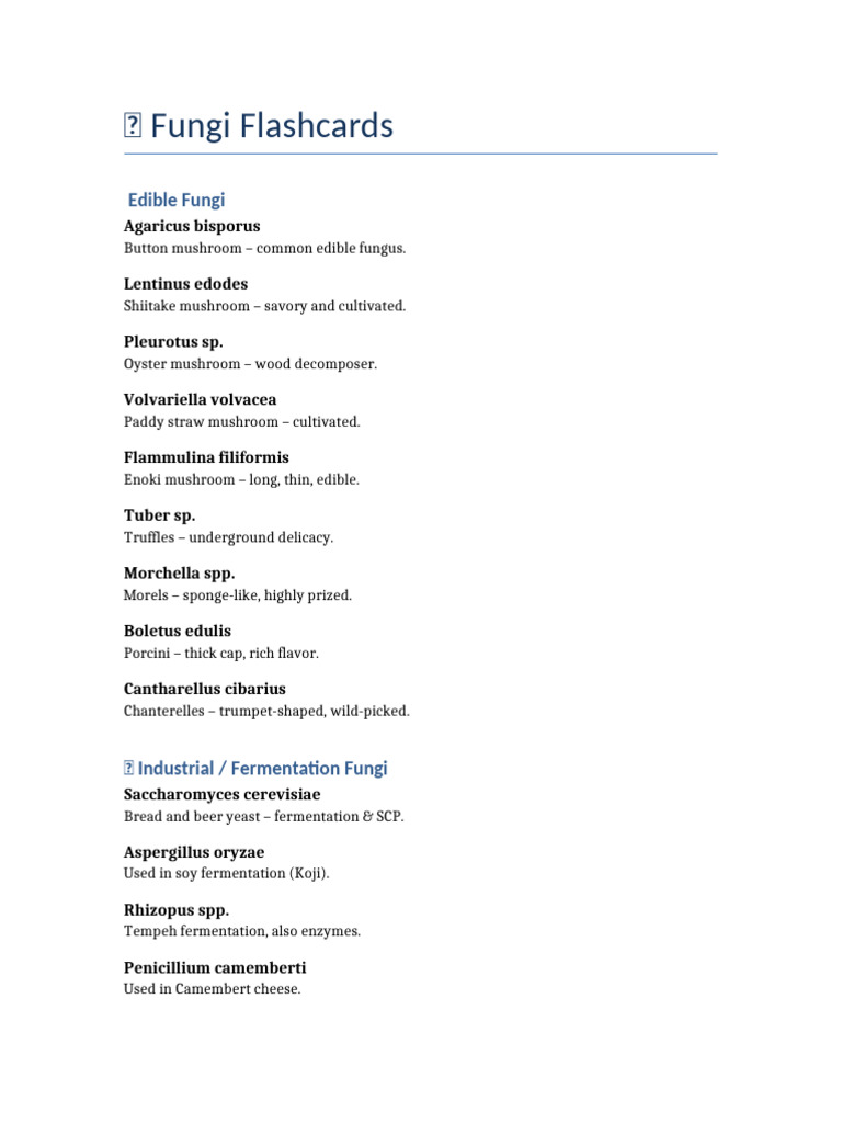 Types of Fungi: Edible, Medical, and More | PDF