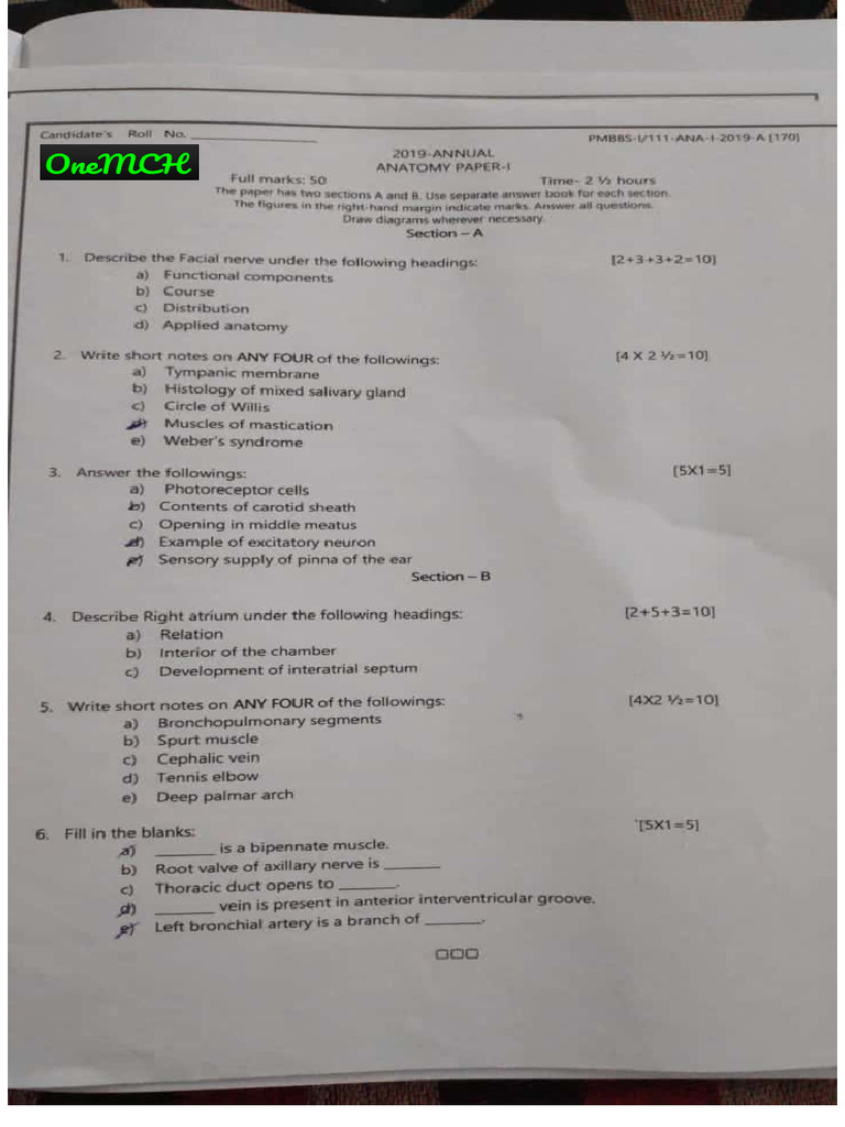 VIMSAR 2019 MB1 Ana - Phy - Bio | PDF