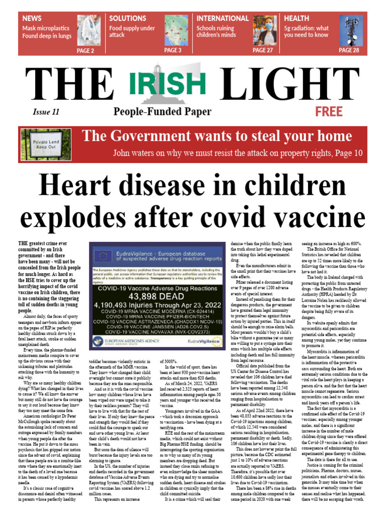 The Irish Light 11b | PDF | Cost Of Living | Natural Environment