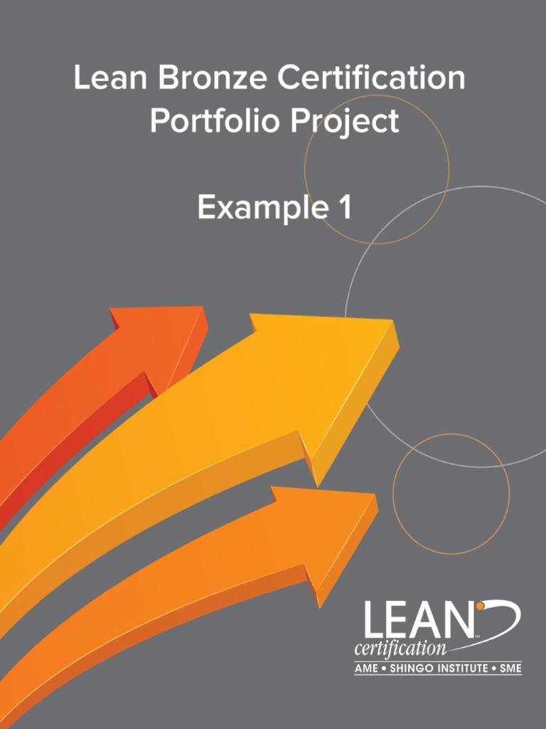 Bronze Project Samples | PDF | Forecasting | Inventory