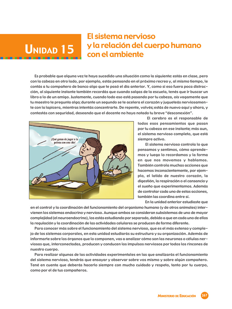 Unidad 15 El Sistema Nervioso y La Relación Del Cuerpo Humano Con El ...