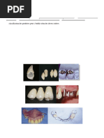 Anatomie du diaphragme stylien | PDF | Tête et cou chez l'humain ...