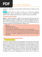 Anatomie du diaphragme stylien | PDF | Tête et cou chez l'humain ...