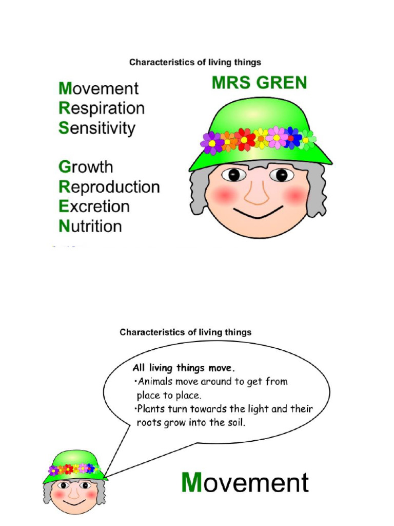 Mrs Gren | PDF
