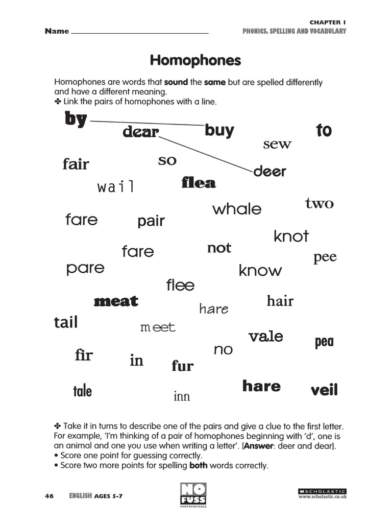 Homophones Exercise | PDF