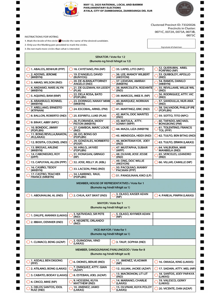 Ballot Print | PDF