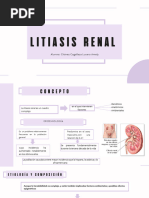 Obstrucción y Estasis Urinaria: Diagnóstico y Tratamiento | PDF ...