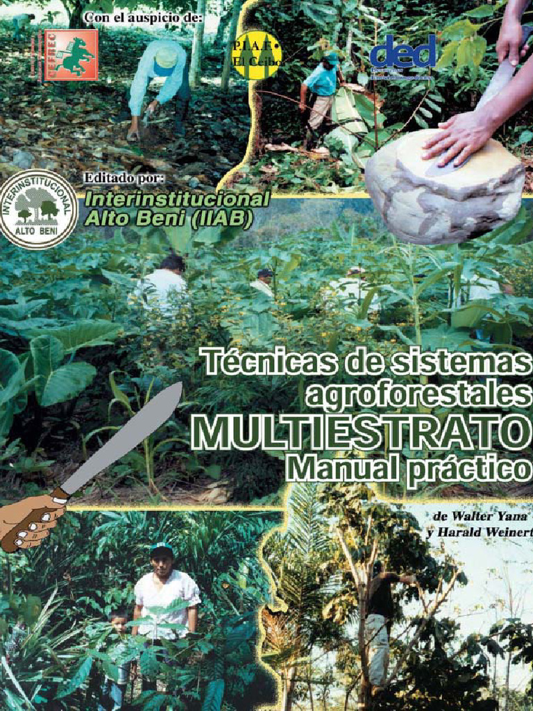 Manual Práctico - Técnicas de Sistemas Agroflorestales Multietracto | PDF | Los bosques | Siembra
