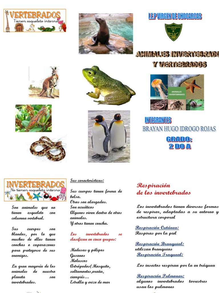 Criptico Hugo | PDF