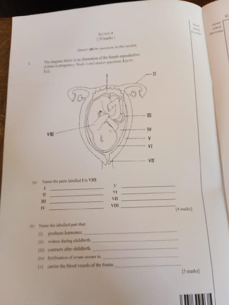 Elective Biology Practicals - 2 | PDF